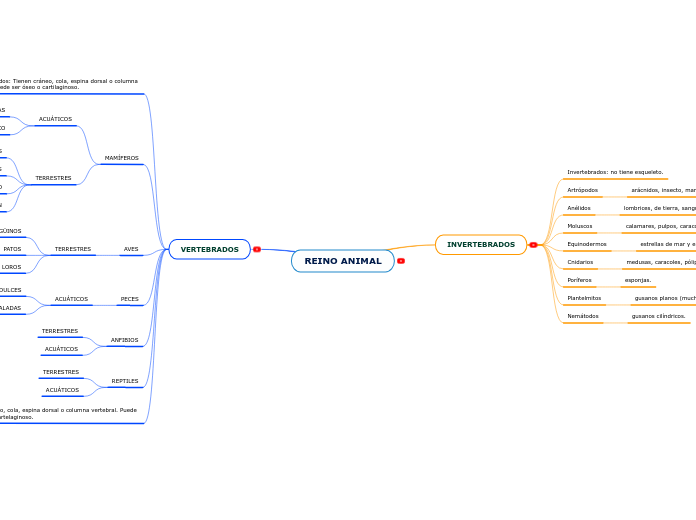 REINO ANIMAL - Mind Map